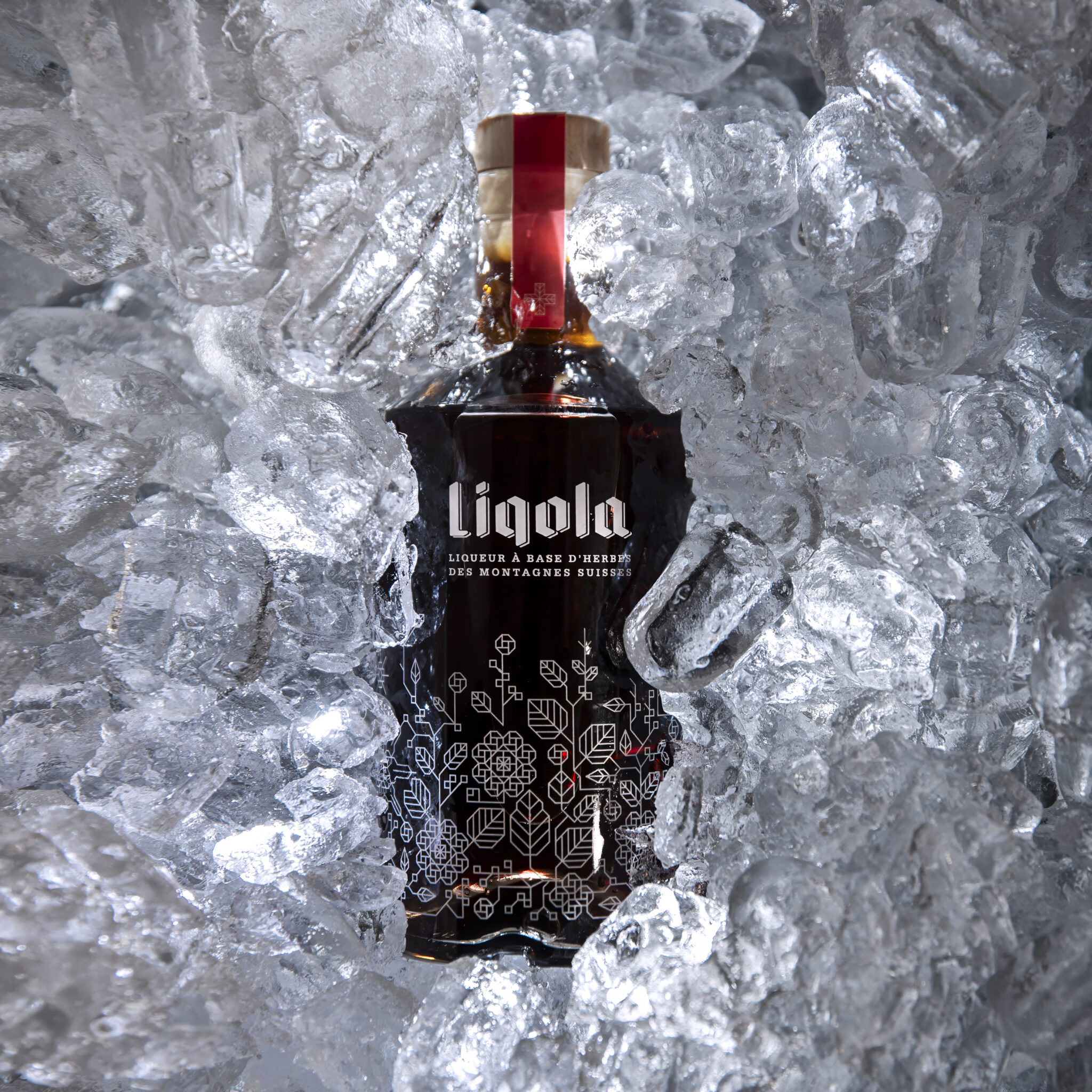 Liqola: the secret behind an innovative liqueur creation - Univerre Pro ...